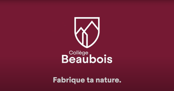 Le Collège Beaubois dynamise sa rentrée avec Camden | Grenier aux nouvelles