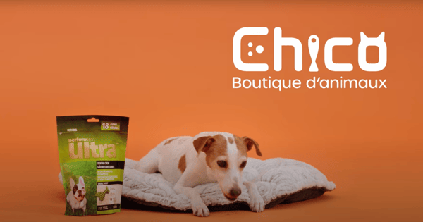 Boutique d’animaux Chico dévoile une image de marque modernisée ...