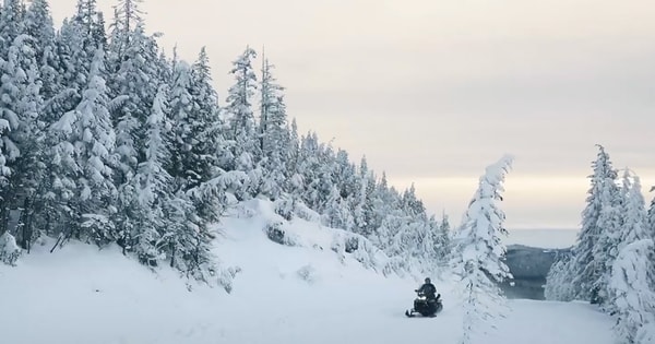 Les Évadés lance la campagne de sensibilisation à la pratique ...