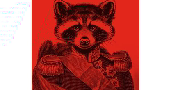 Kamarad: une nouvelle maison de production à Québec | Grenier aux nouvelles