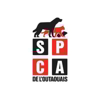 SPCA de l'Outaouais | Grenier aux nouvelles