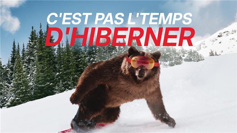 Petro-Canada rappelle que c’est pas l’temps d’hiberner | Grenier aux ...