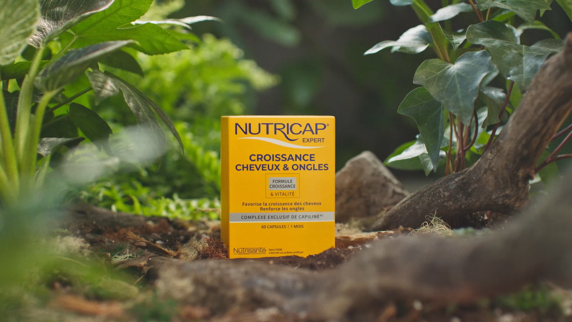 Nutricap et Bob unissent nature et confiance dans une nouvelle campagne ...