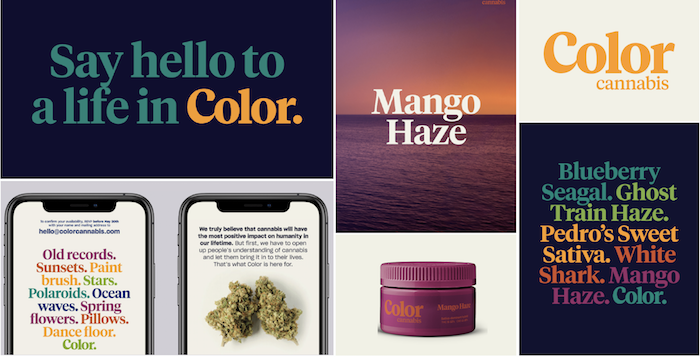 Une identité colorée pour Color Cannabis | Grenier aux nouvelles